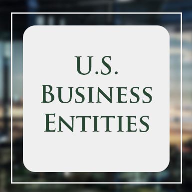 Entity Options Foreign Companies US Market | OH IN GA